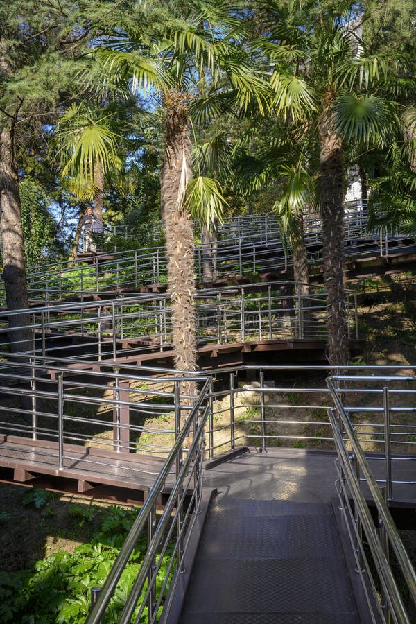 Wheelchair Paths for People with Disabilities in a Tropical Park with ...