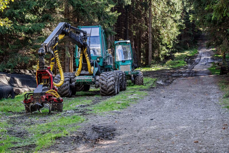 Wheeled Harvester for Tree Harvesting in Forest Stock Photo - Image of ...