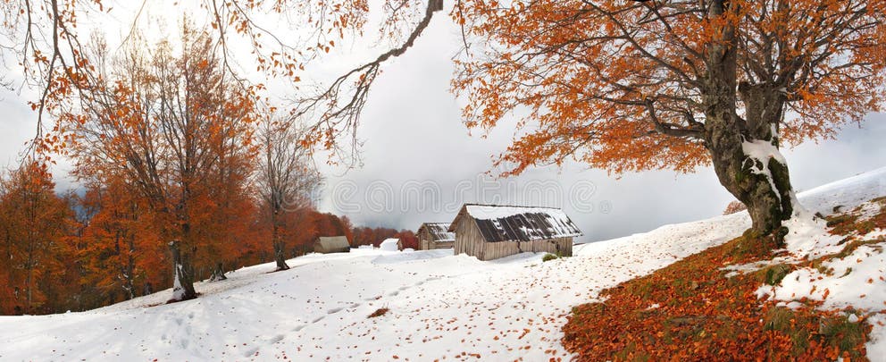 Where autumn meets winter stock photo. Image of autumn - 14373804