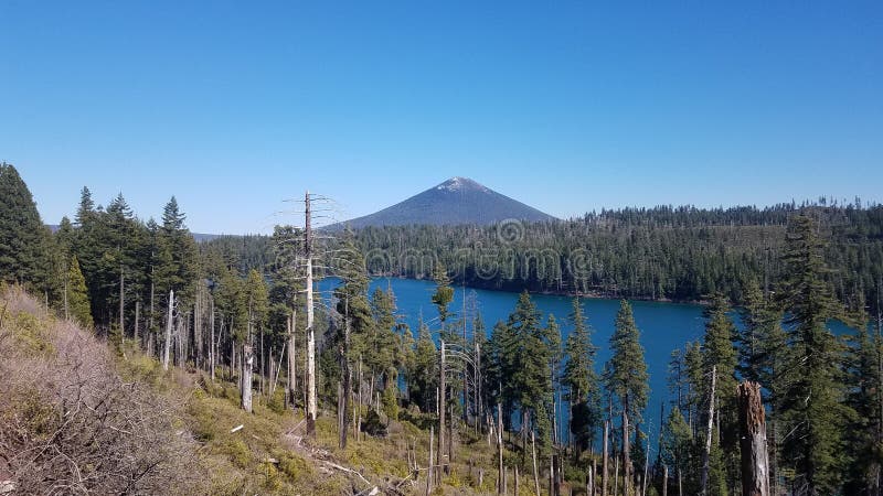 Suttles Stock Photos - Free & Royalty-Free Stock Photos from Dreamstime