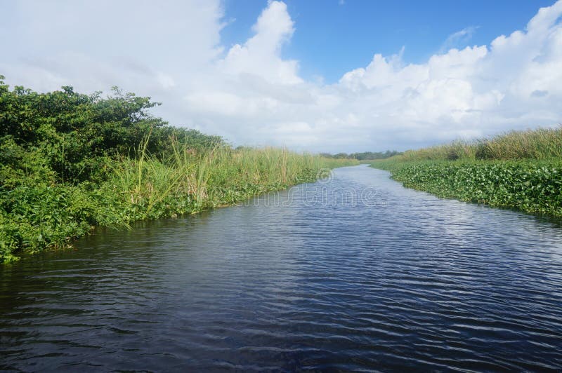 Where does the river go to stock image. Image of ready - 55582469