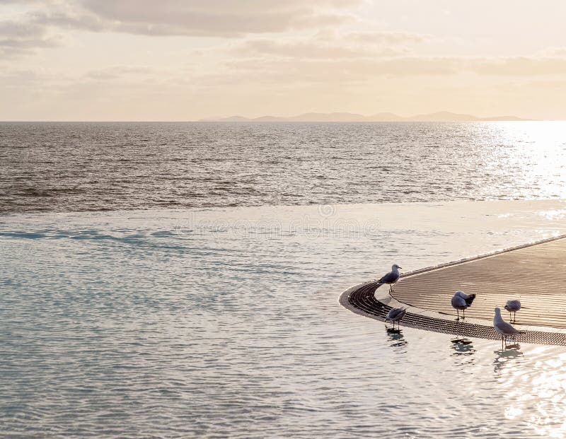 Infinity Pool Meets the Ocean Stock Image - Image of holiday, lagoon ...
