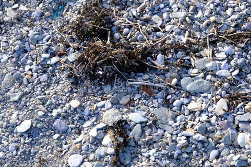 Spring Time at a Cornish Beach Stock Photo - Image of wave, cliff ...