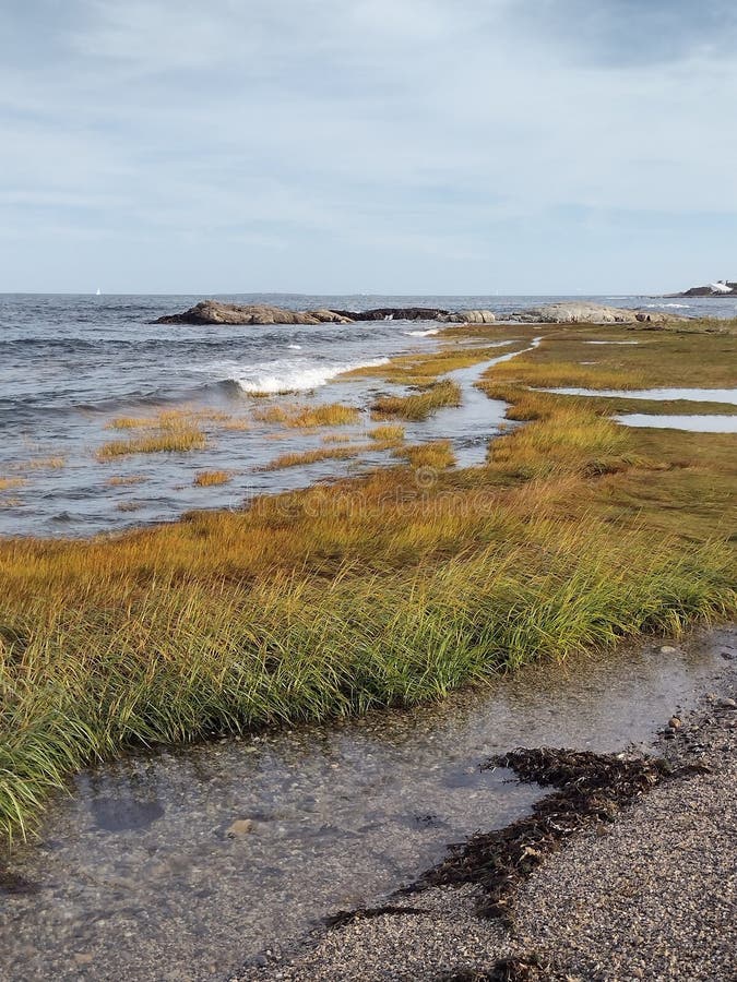 Where the Marsh and Ocean Meet Stock Photo - Image of meet, water ...