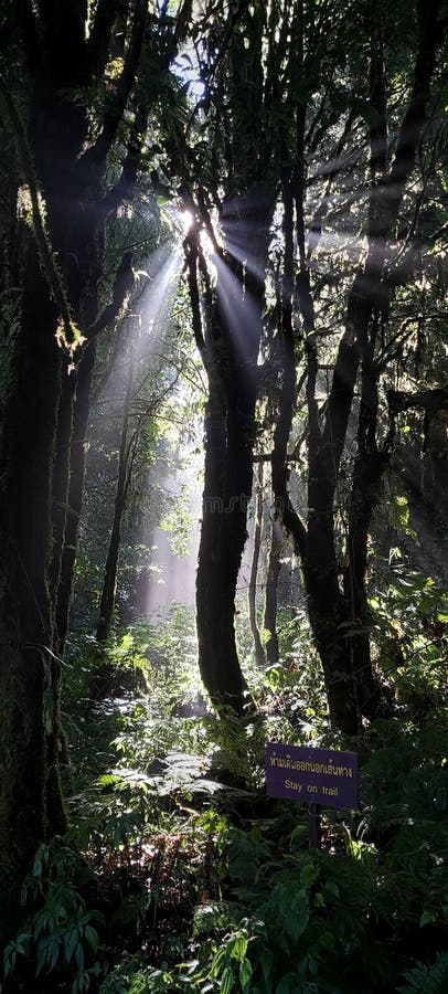 Where There is Light and Shadow of Nature is Great. Stock Photo - Image ...