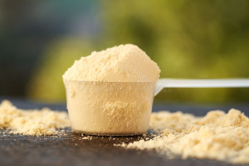 Whey Protein Powder in a Measuring Cup Stock Image - Image of dairy ...