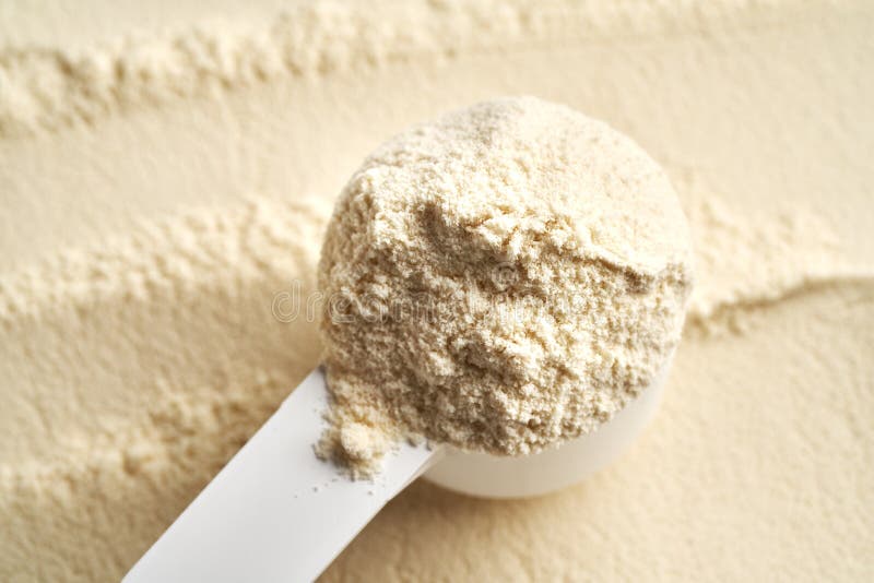 Whey Protein Powder in a Measuring Spoon, Closeup Stock Image - Image ...