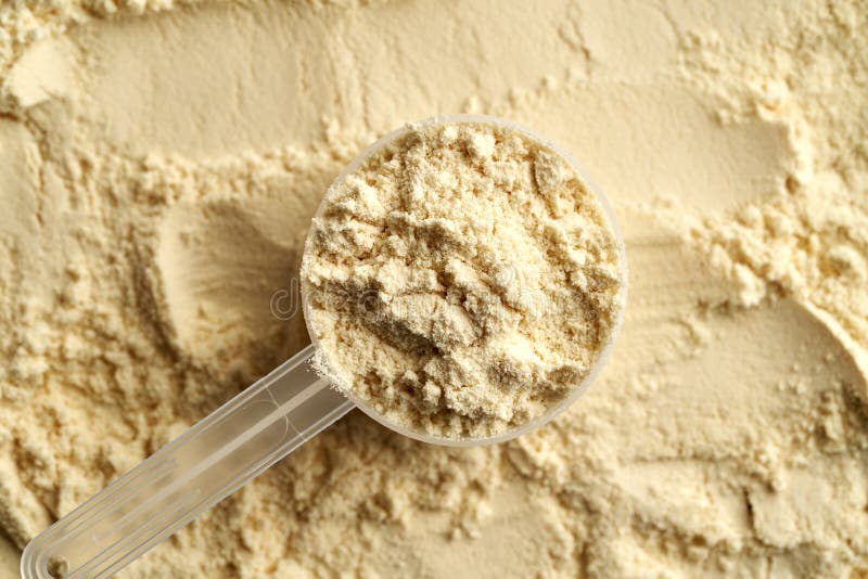 Whey Protein Powder in a Measuring Spoon Stock Image - Image of food ...