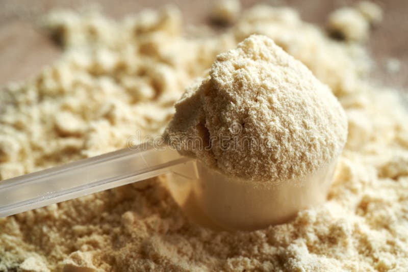 Whey Protein Powder in a Plastic Measuring Spoon Stock Photo - Image of ...