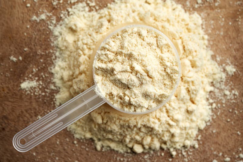 Whey Protein Powder in a Plastic Measuring Spoon Stock Photo - Image of ...