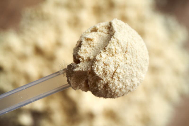 Whey Protein Powder in a Plastic Measuring Spoon Stock Photo - Image of ...