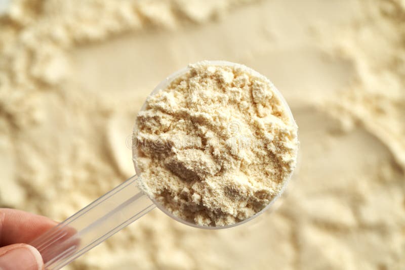 Whey Protein Powder in a Plastic Measuring Spoon Stock Image - Image of ...