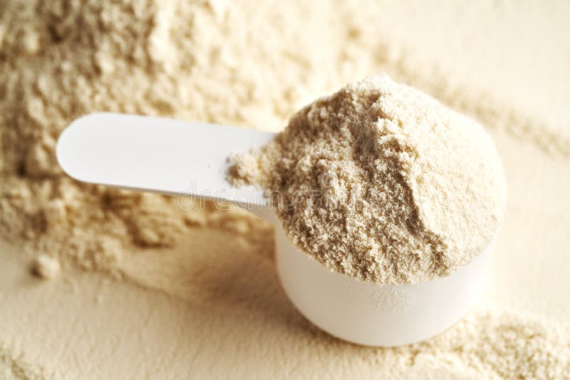 Whey Protein Powder in a White Measuring Spoon Stock Photo - Image of ...