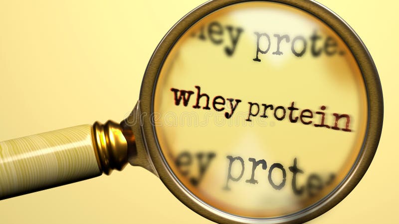 Whey Protein Under Magnifying Glass. Thorough Analysis and Inspection ...