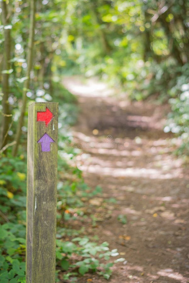 Which path to follow stock image. Image of road, options - 98589289