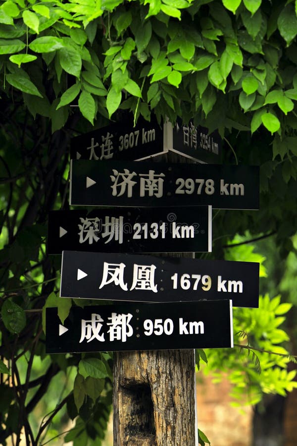 Which way? stock photo. Image of moving, tree, sign, travel - 19793502