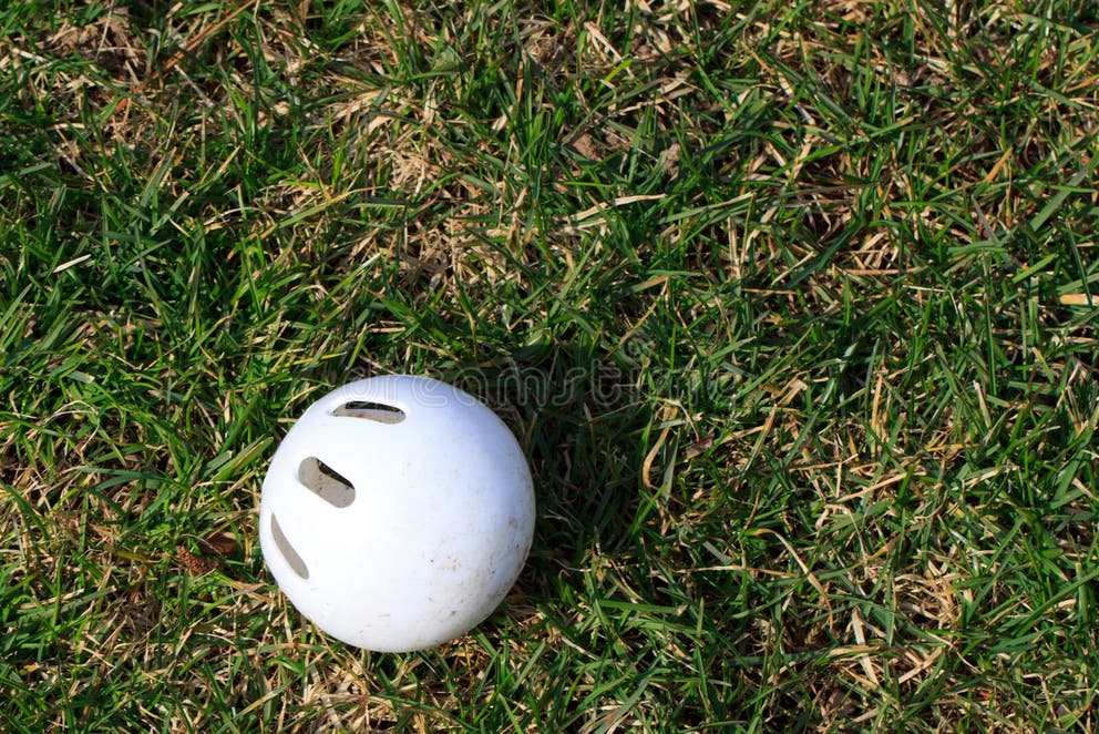 Whiffle Ball stock photo. Image of white, copyspace, sport - 13583310