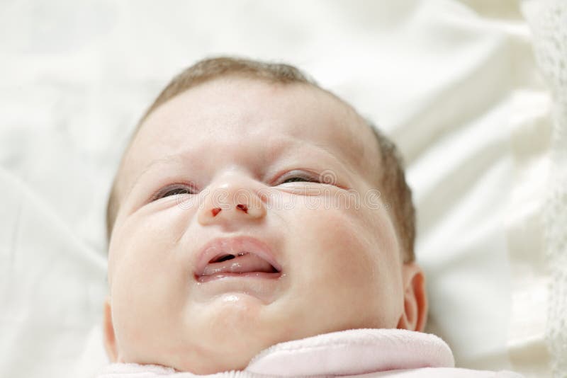 Whimpering Stock Photos - Free & Royalty-Free Stock Photos from Dreamstime