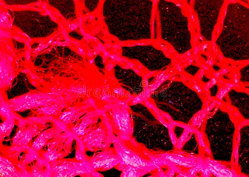 Whimsical Interweaving, Bright Networks. a Fragment of Fabric, Textiles ...