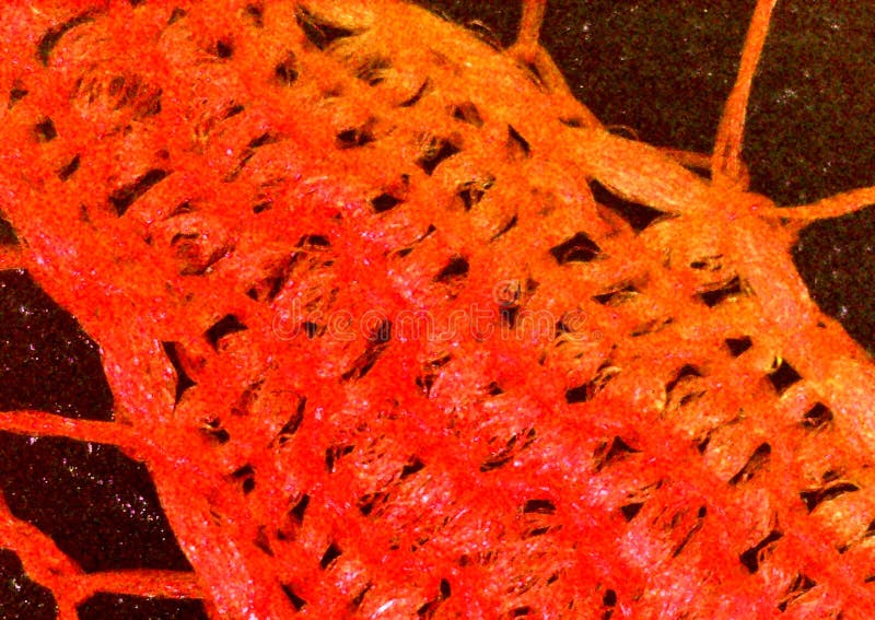 Whimsical Interweaving, Bright Networks. a Fragment of Fabric, Textiles ...