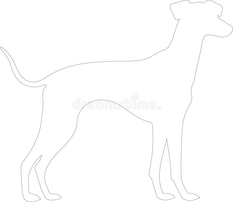 Whippet Outline Outline Silhouette Generative Ai Stock Vector ...
