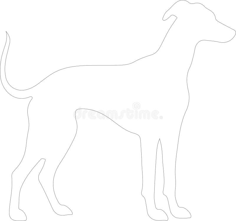 Whippet Outline Outline Silhouette Generative Ai Stock Vector ...