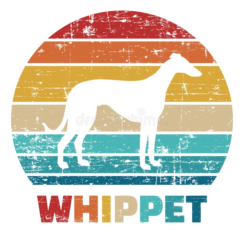 Whippet Silhouette Stock Illustrations – 366 Whippet Silhouette Stock ...