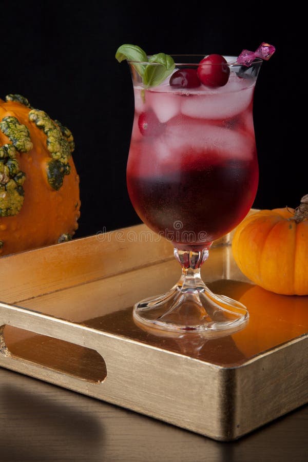 Whiskey-Cranberry Cocktail - Fall Drinks Stock Image - Image of ...