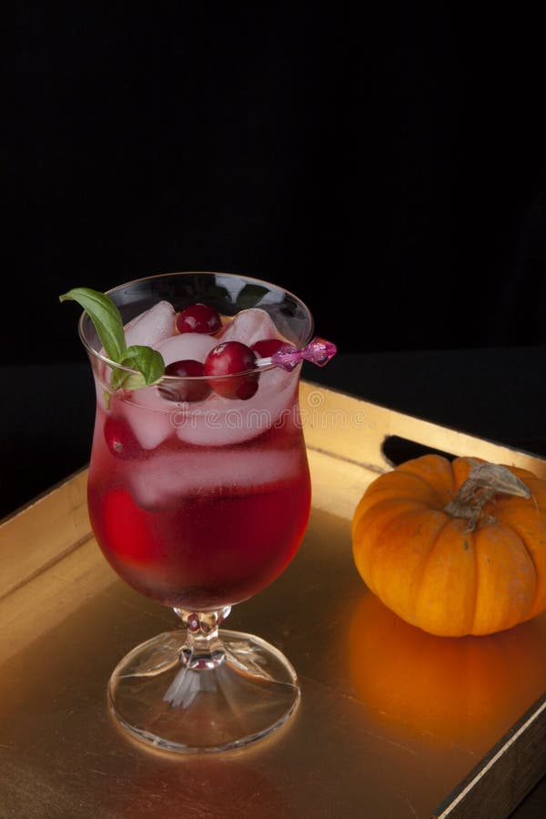 Whiskey-Cranberry Cocktail - Fall Drinks Stock Image - Image of ...