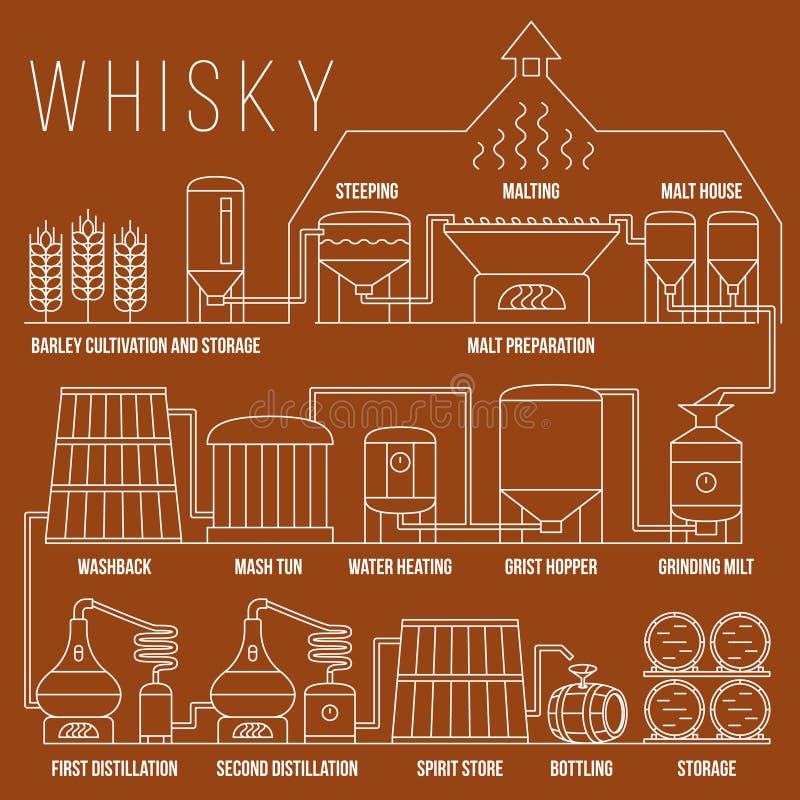 Whiskey Production Process Vector Infographic Template Stock Vector ...