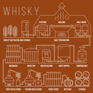 Whiskey Production Process Vector Infographic Template Stock Vector ...