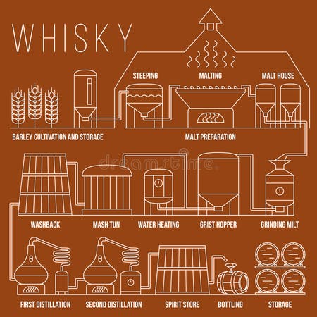 Whiskey Production Process Vector Infographic Template Stock Vector ...
