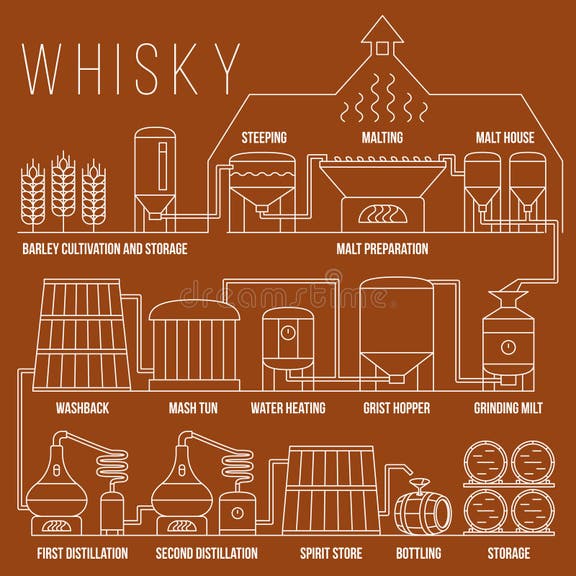 Whiskey Production Process Vector Infographic Template Stock Vector ...