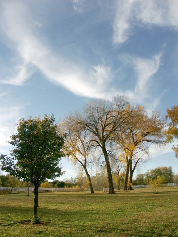 1,195 Blue Whispers Massage Stock Photos - Free & Royalty-Free Stock ...