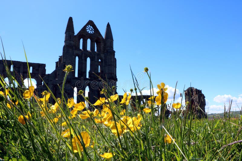 Whitby flower clock stock photo. Image of lawn, flowers - 232260600