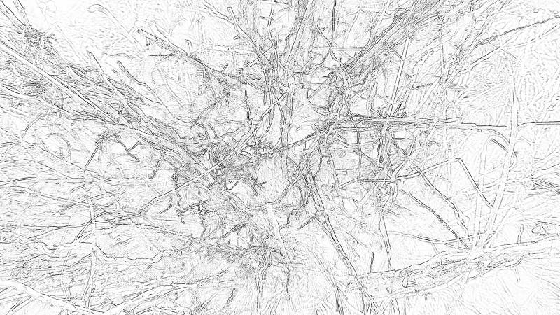 White Abstract Texture Graphics for Backgrounds or Other Illustrations ...