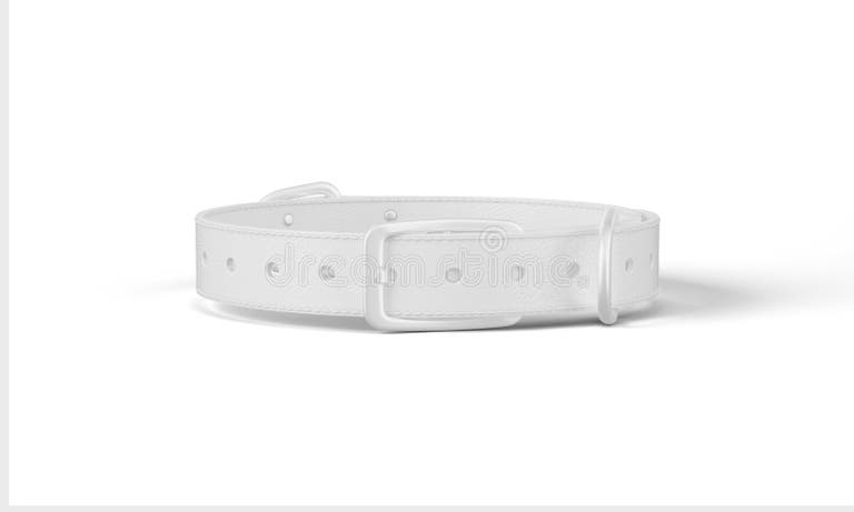 White Adjustable Belt with Matching Buckle in Circular Shape Stock ...