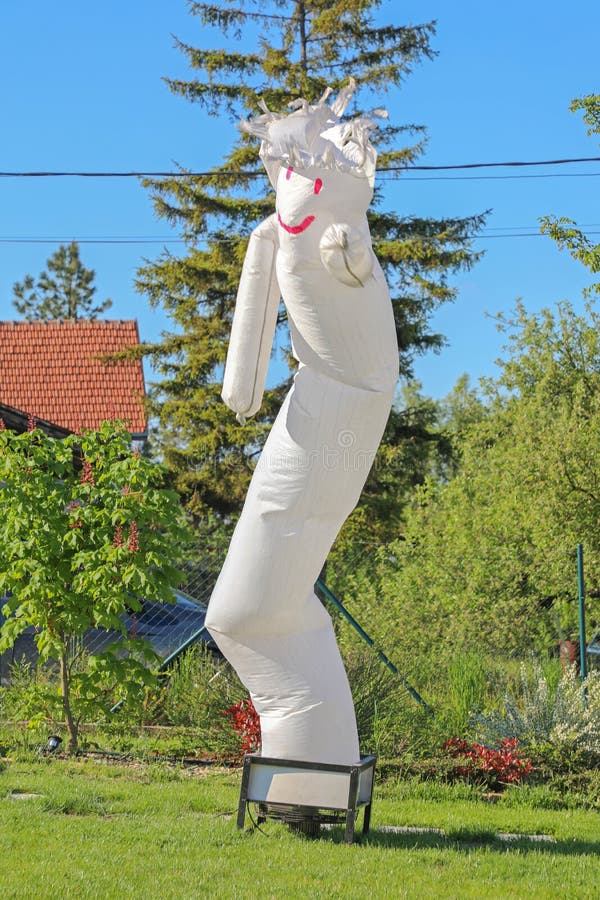 Air Dancer stock photo. Image of grass, outdoors, large - 219033960