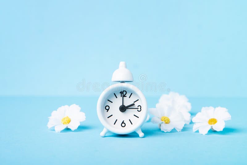 White Alarm Clock and Spring Daisy Flowers on Blue Background Stock ...