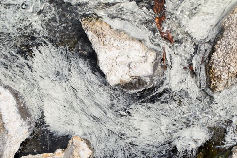 White algae stock image. Image of algae, geology, heat - 75710899