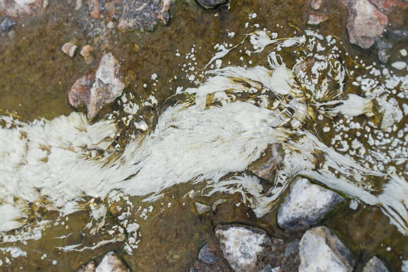 White algae stock photo. Image of geothermal, landscapes - 75712960