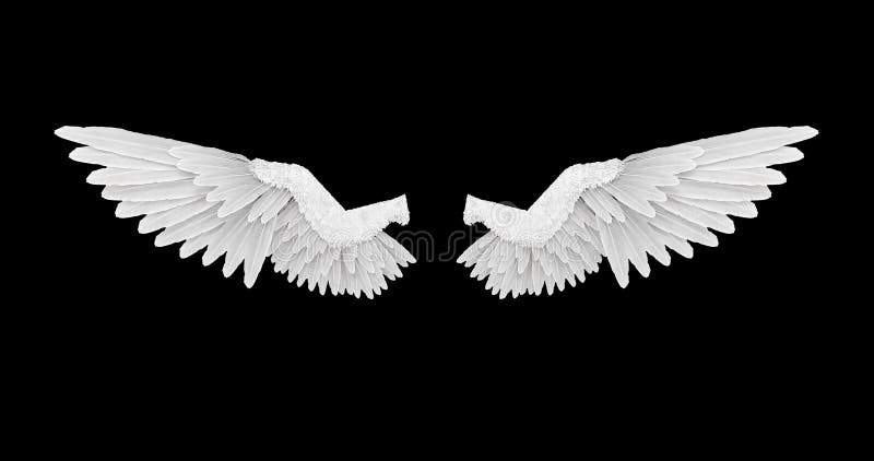 Angel Wings Stock Footage & Videos - 2,495 Stock Videos