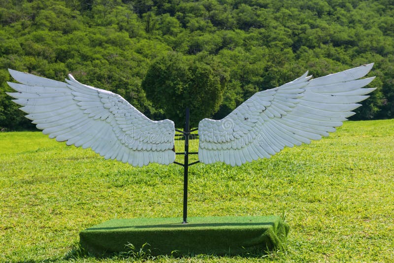 White Angel Wings with Blur Heart Shape Tree Leaf Stock Image - Image ...