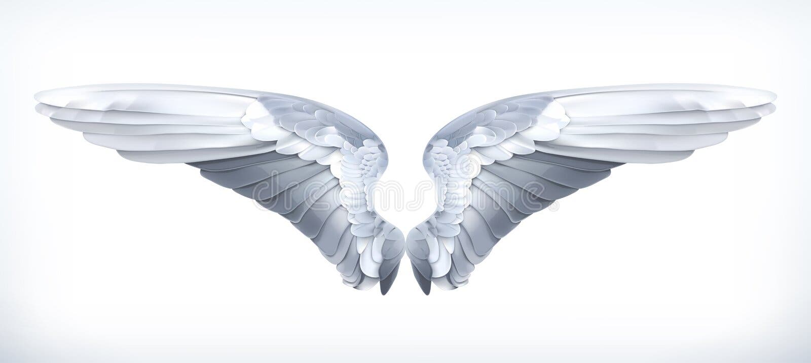 Angels Wings Rear View, Isolated on White Background. Generative AI ...