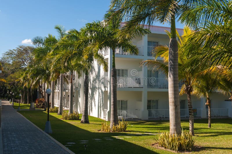 White Apartment Building among the Palm Trees. Stock Photo - Image of ...