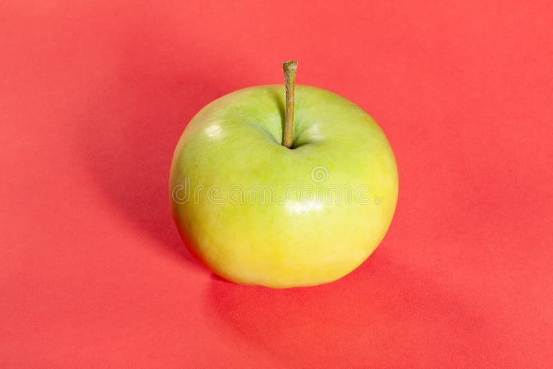 White apple on red stock photo. Image of food, fruit - 244145426
