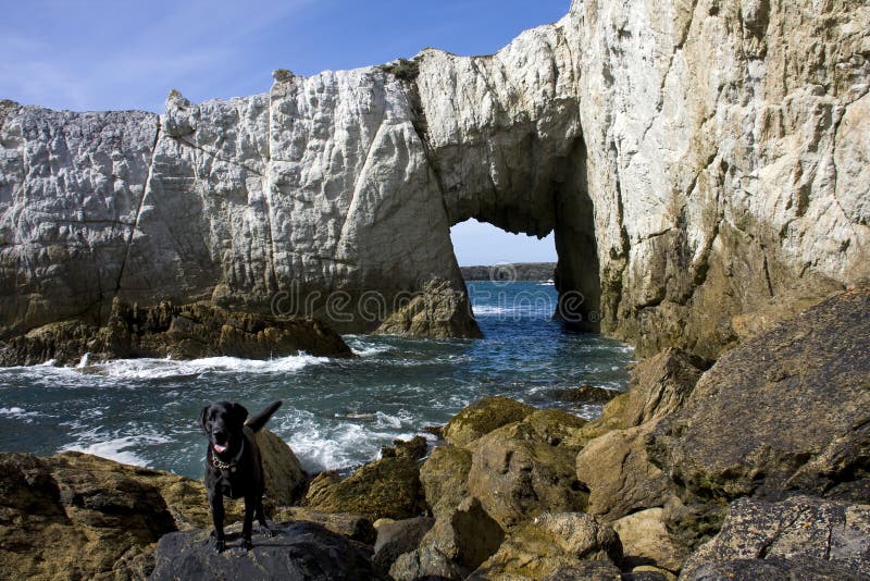 The White Arch stock photo. Image of quartizitic, ocean - 11680246