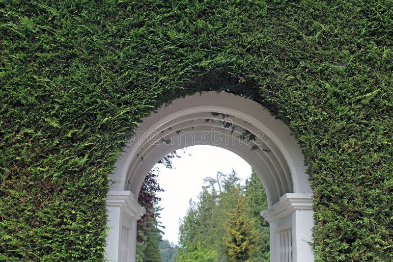 Entry Hedge stock photo. Image of clipping, entry, decorative - 449624