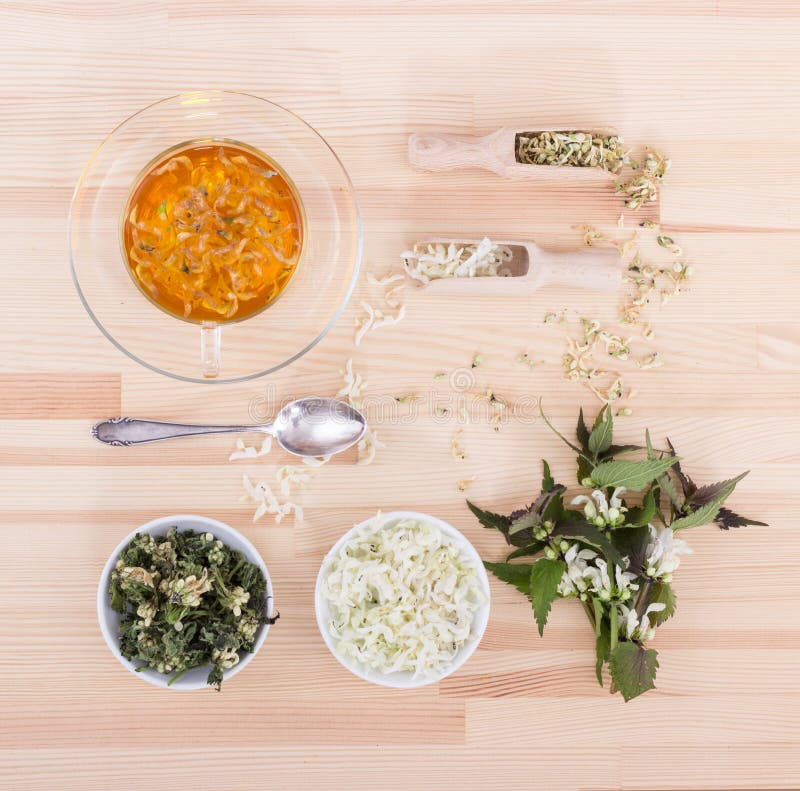 White archangel tea stock photo. Image of herb, healthy - 93479176