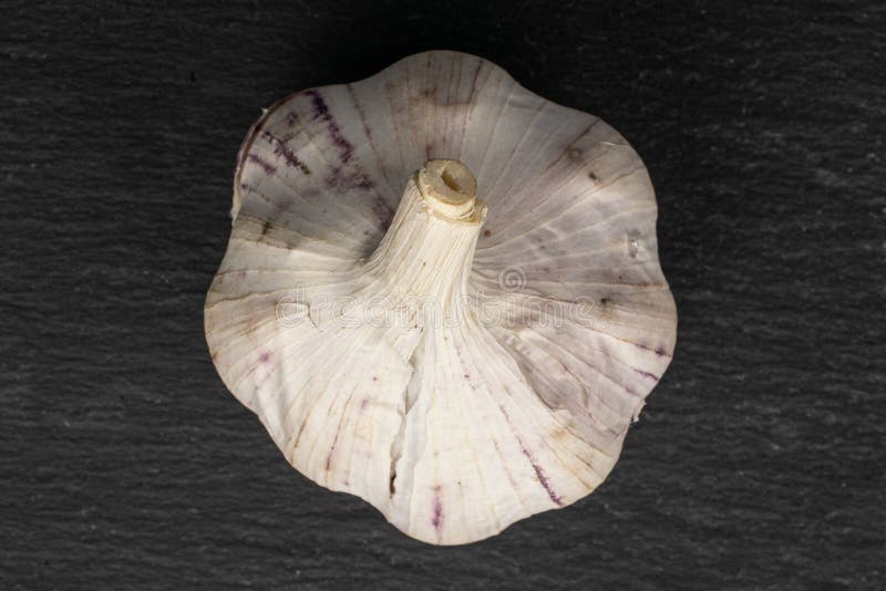 White Aromatic Garlic on Grey Stone Stock Photo - Image of garlic ...